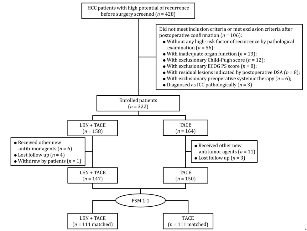 Post-surgery strategy shows promise in delaying liver cancer recurrence ...